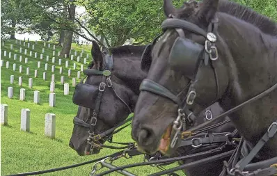 Ultimate Army honor - PressReader