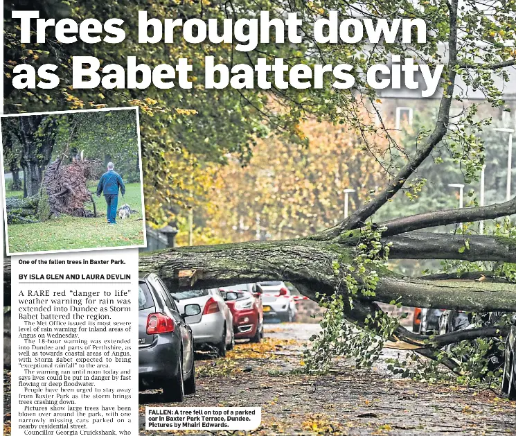 Trees brought down as Babet batters city - PressReader