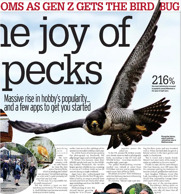 The joy of pecks | Daily Mirror (Northern Ireland) | PressReade­r