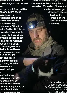 Hero Jason steps up to rescue cat stuck 50ft up tree... for three days ...