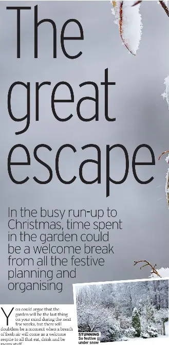 The great escape - PressReader