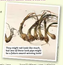 New leeks to trial - PressReader