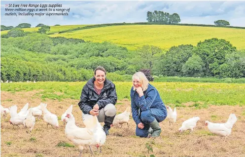Small grants making a big difference thanks to Great Cornish Food project - PressReader