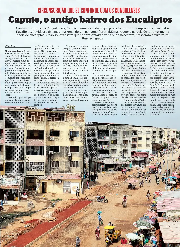 Caputo, o antigo bairro dos Eucaliptos - PressReader