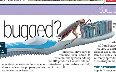 Is your house bugged? | Paisley Daily Express | PressReade­r