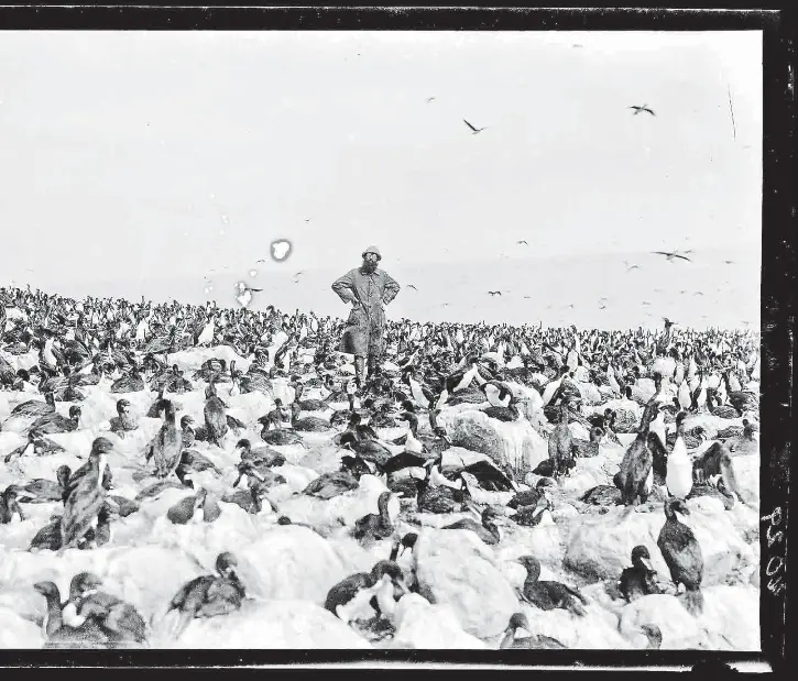 La muestra completa - PressReader