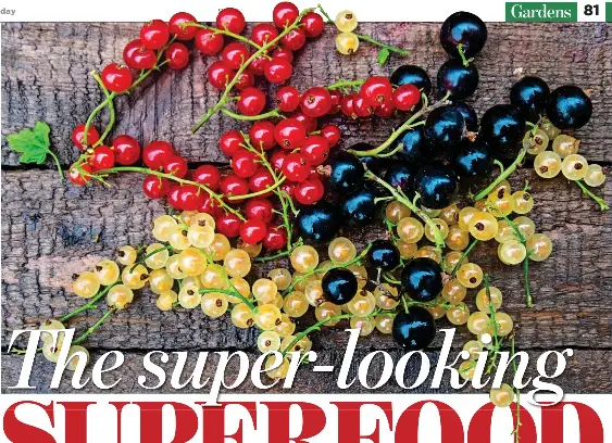 The super-looking SUPERFOOD - PressReader