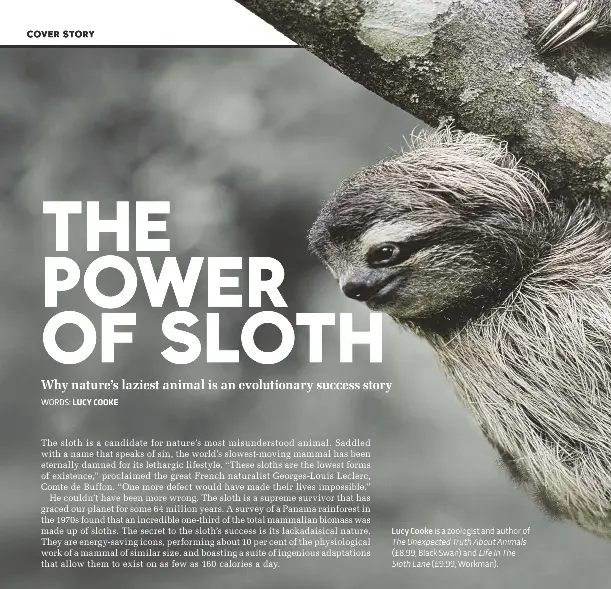 The power of sloth A sloth’s lifestyle makes it the ultimate evolutiona ...