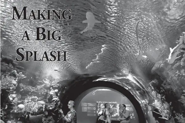 MAKING A BIG SPLASH - PressReader
