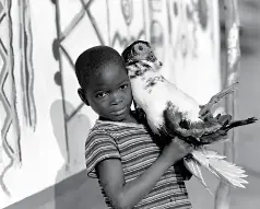 Augusto Cabrita (1923-1993) Redescobri­r um mestre da imagem - PressReader