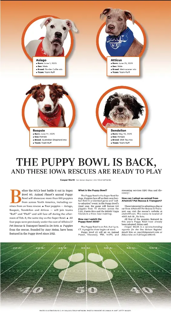 THE PUPPY BOWL IS BACK, - PressReader