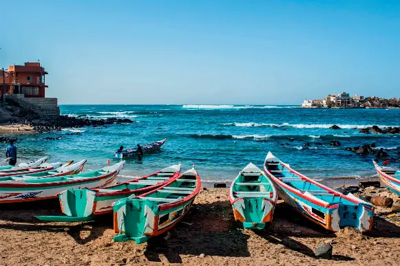 UN RECORRIDO POR SENEGAL - PressReader