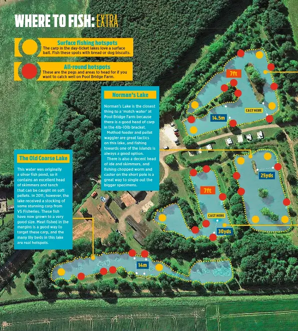 Spotlight on Pool Bridge Farm - PressReader