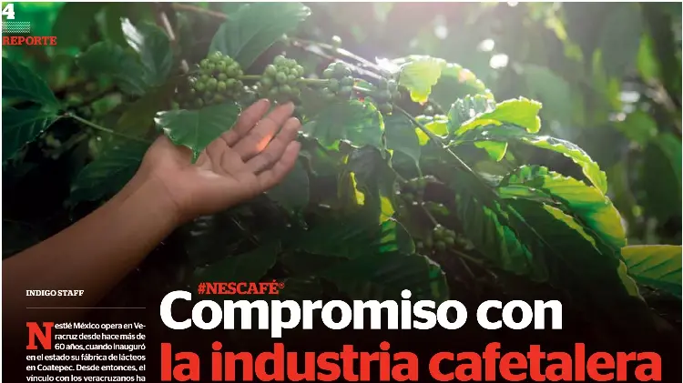 Compromiso con la industria cafetalera - PressReader