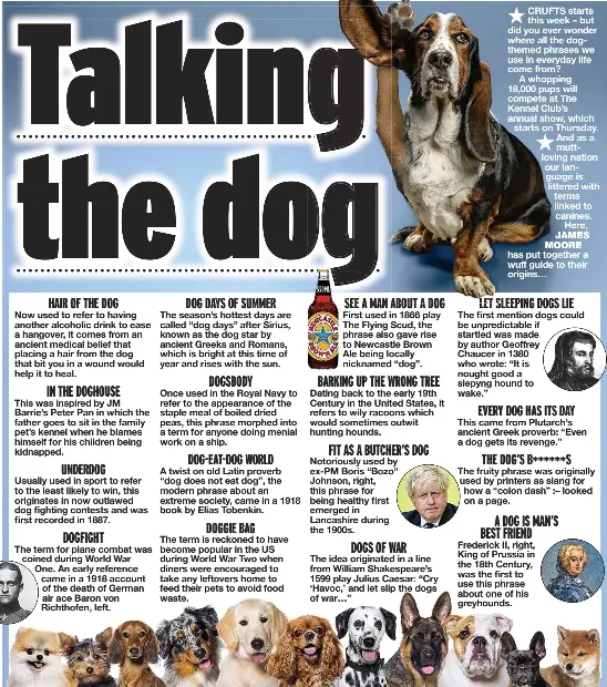 Talking the dog - PressReader