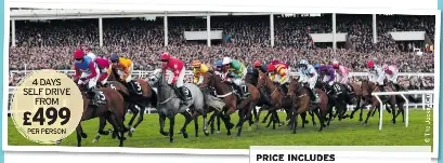 CHELTENHAM GOLD CUP - PressReader