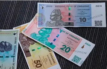 Zimbabwe replaces Zim dollar with new currency - PressReader