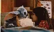 ‘Lilo & Stitch’ is a sweet but unnecessar­y live-action remake - PressReader