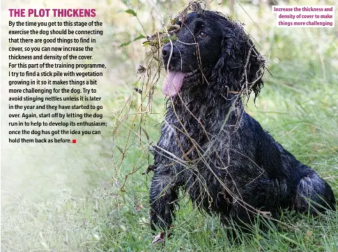 THE PLOT THICKENS - PressReader