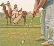 Llamas up to par as NC golfer’s gofers - PressReader