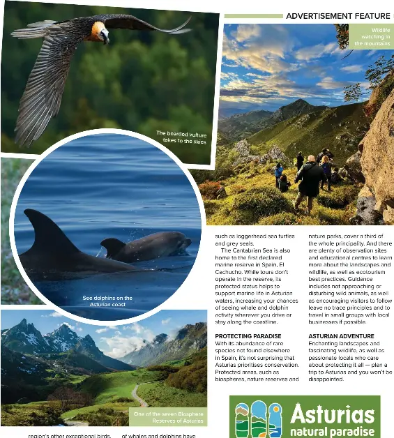 ASTURIAS: LAND OF BEARS - PressReader