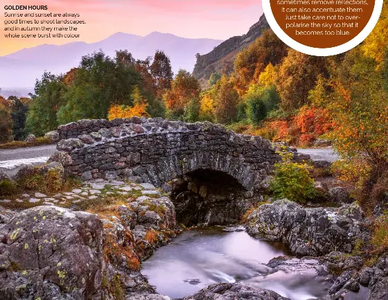 SHOOT IN GOLDEN AUTUMN LIGHT - PressReader