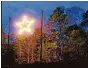 O Little Town of Lindale: How still we see your light - PressReader