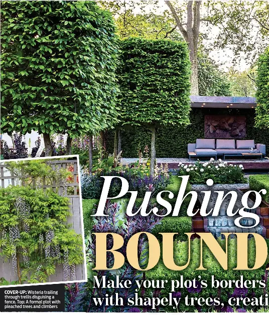 Pushing the BOUND - PressReader
