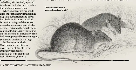 Smokin’ hot sport - PressReader