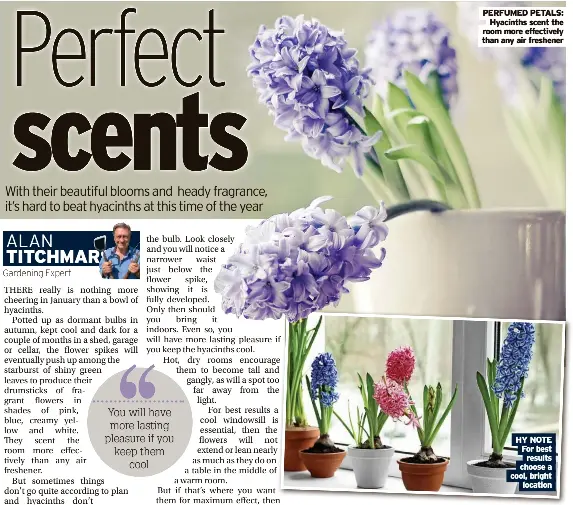 Perfect scents - PressReader