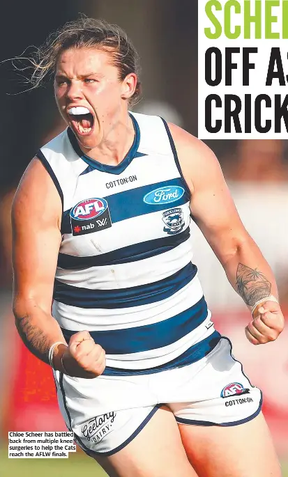 SCHEER GRIT PAYS OFF AS CAT PUTS CRICKET ON HOLD - PressReader