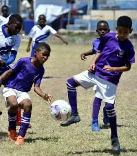 Jones brothers’ braces bring ECA Junior Cup U9 triumph - PressReader