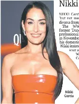 Nikki Garcia insists she will not tie the knot again - PressReader