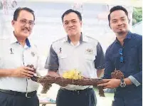 Sabah Direx 2015, langkah siap siaga hadapi bencana - PressReader