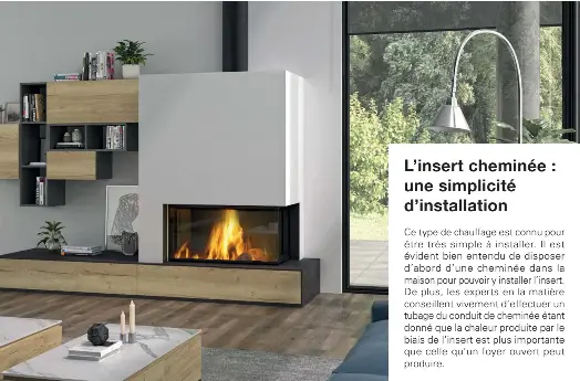 L’insert cheminée : une simplicité d’installati­on - PressReader