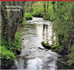 YEOFORD Well-hedged farmland around a meandering river - PressReader