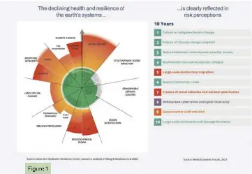 ERNST & YOUNG - PressReader
