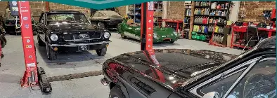 MEET THE EXPERT - PressReader