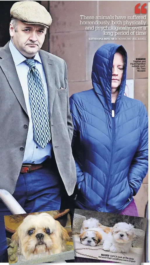 BARKING MAD - PressReader