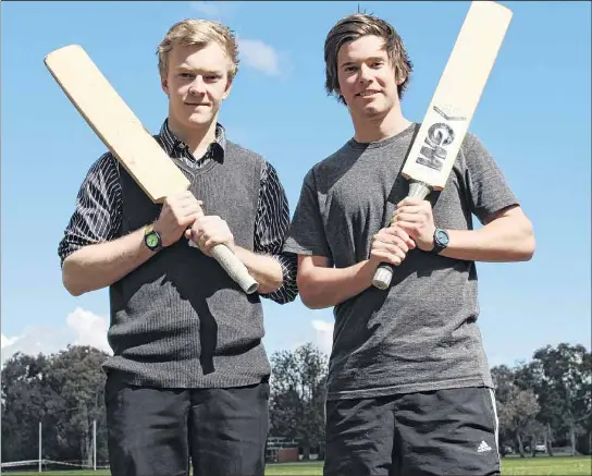 Willett, Nankervis star for Essendon - PressReader