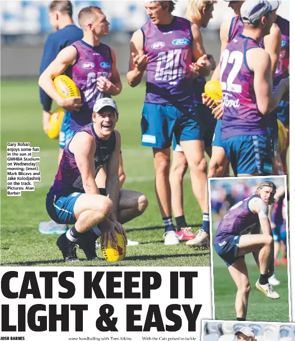 CATS KEEP IT LIGHT & EASY - PressReader