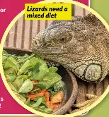 5 QUESTIONS WITH… - PressReader