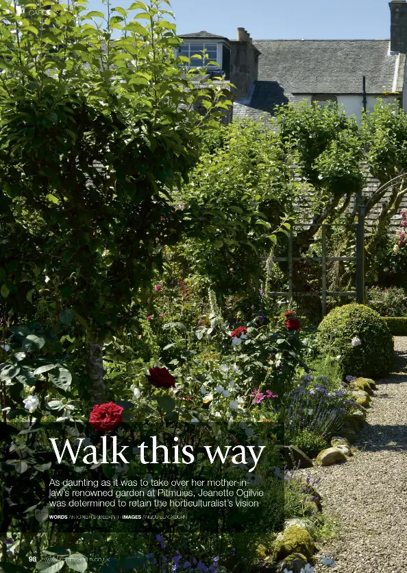 WALK THIS WAY - PressReader