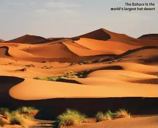 FACING THE SEA OF SAND - PressReader