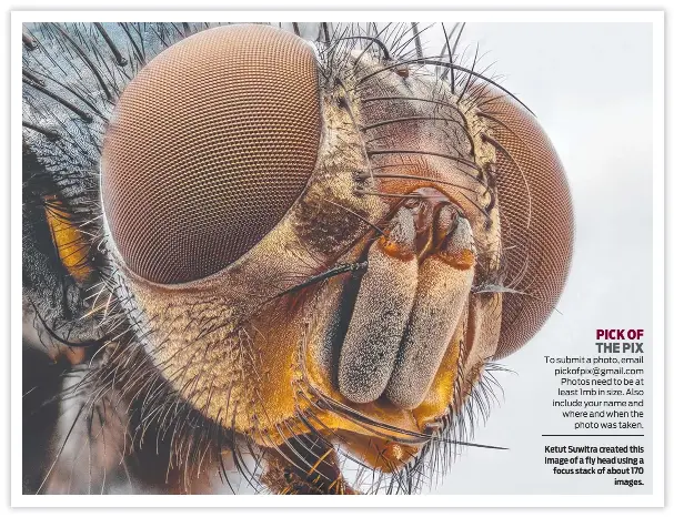 Negative gearing swipe - PressReader