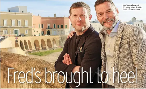 Fred’s brought to heel - PressReader