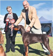 Hondeskou ‘n reusesukse­s - PressReader