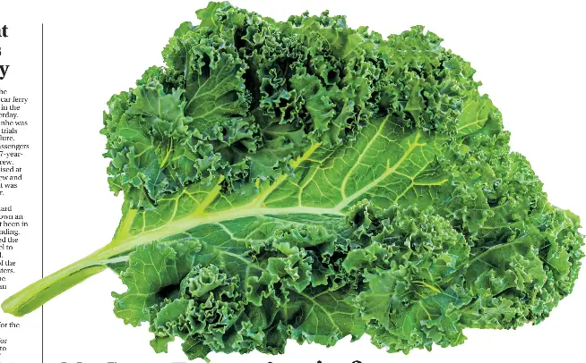 Brassica’s future is kale and hearty after seed project really takes root - PressReader