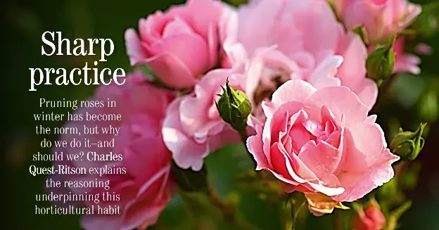 Sharp practice - PressReader