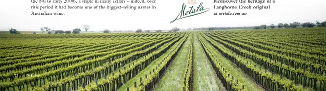 Pioneers of the Vines - PressReader